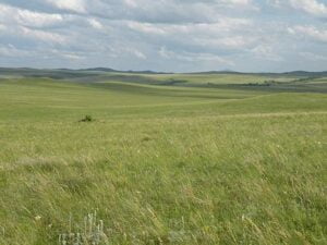 Exploring the Vastness: The 10 Largest Grasslands in the World - Nature Worldwide