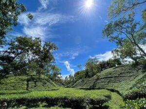 Top 12 Natural Places to Visit in Bangladesh - Nature Worldwide