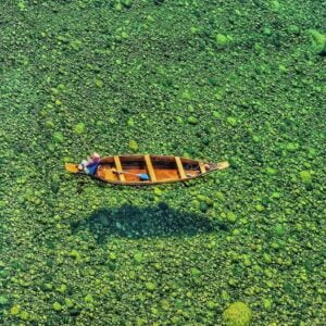 Top 10 Places to Visit in Assam and Meghalaya