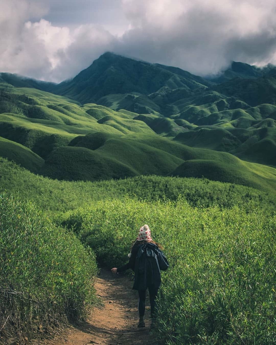 Dzukou-Valley-Nagaland - Nature Worldwide