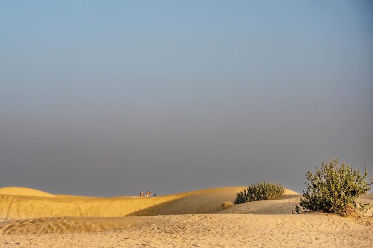 Thar-Desert - Nature Worldwide
