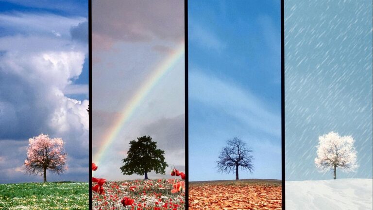 Understanding How Seasons Change